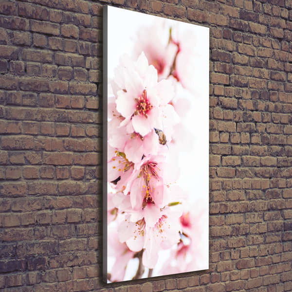 Ebern Designs Mandelblüten - Kunstdrucke auf Leinwand | Wayfair.de